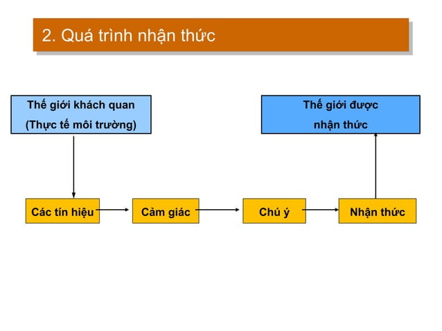 Chuong 2 - Co so hanh vi ca nhan.ppt