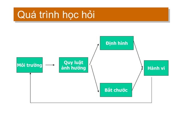Chuong 2 - Co so hanh vi ca nhan.ppt