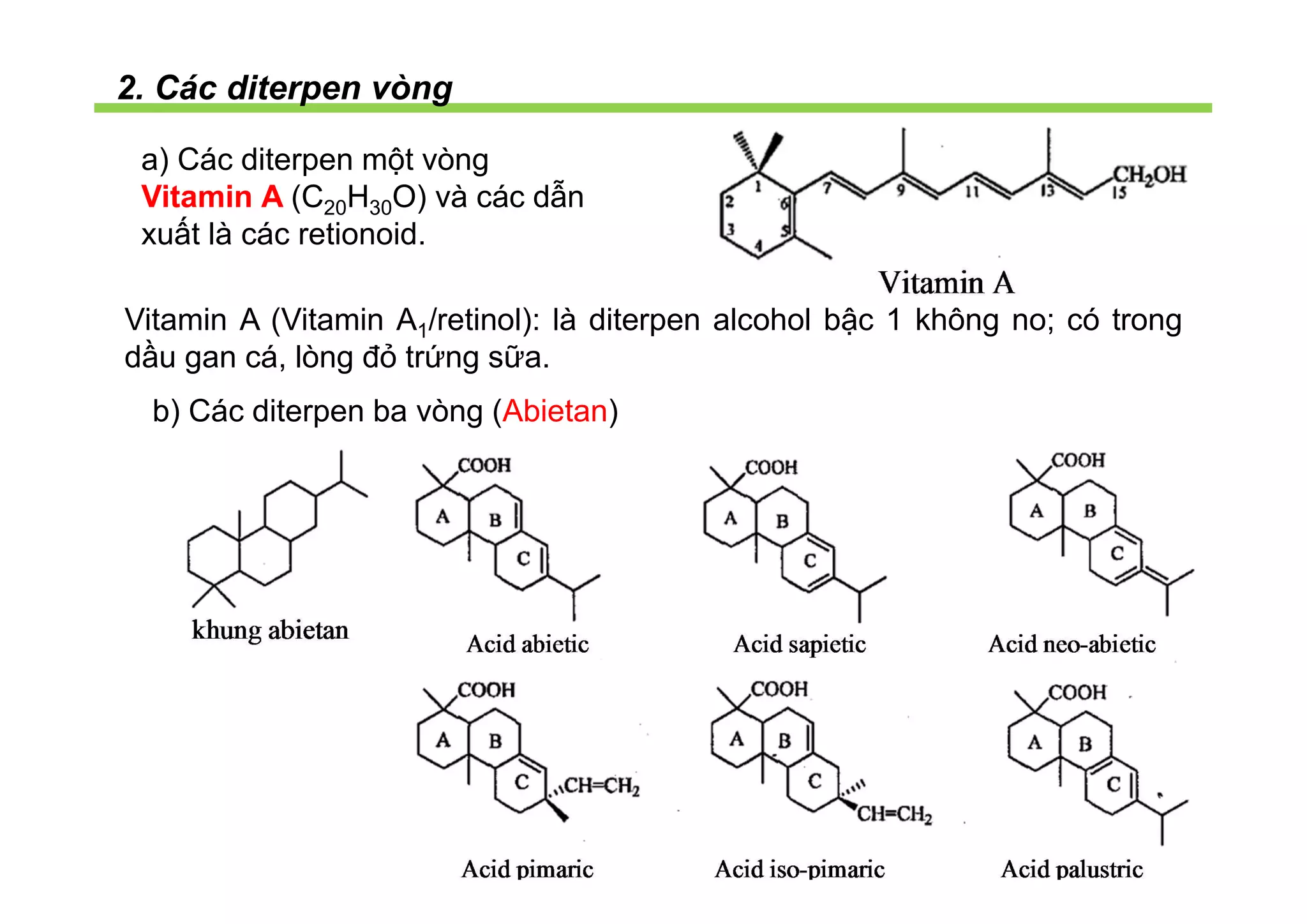 Chuong 2 cac hop chat terpenoid | PDF