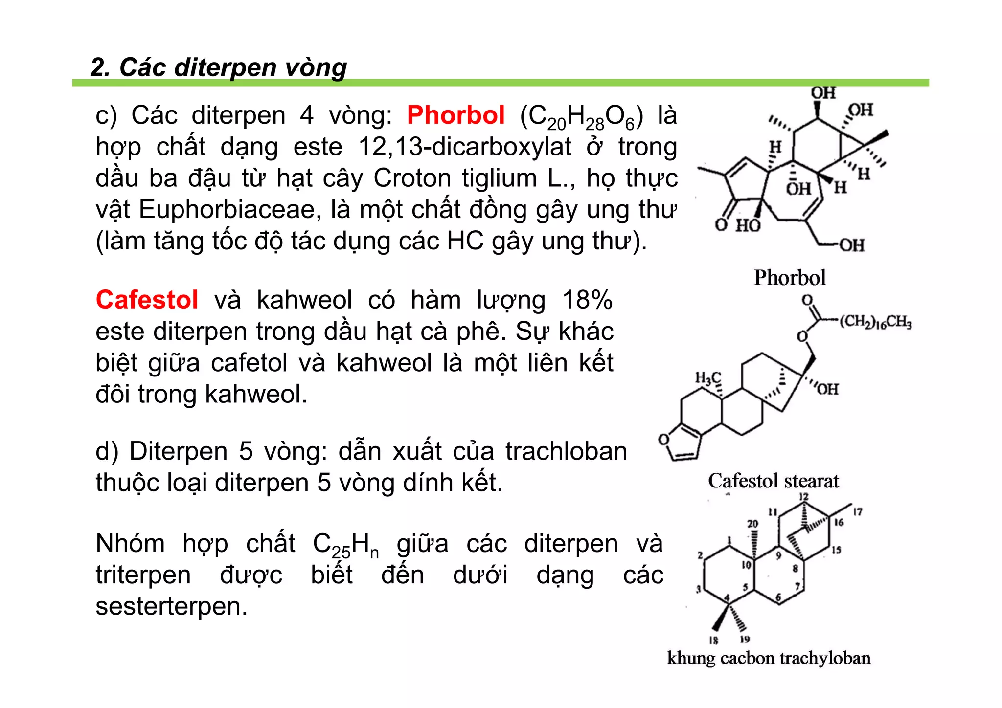 Chuong 2 cac hop chat terpenoid | PDF