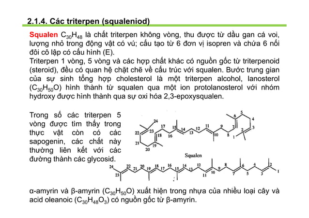 Chuong 2 cac hop chat terpenoid | PDF