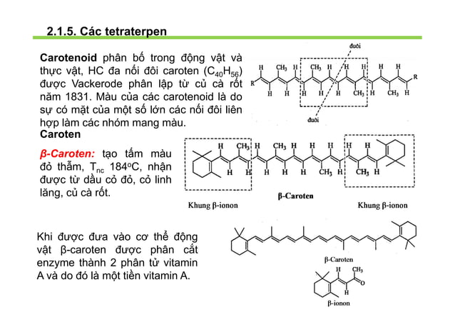 Chuong 2 cac hop chat terpenoid | PDF