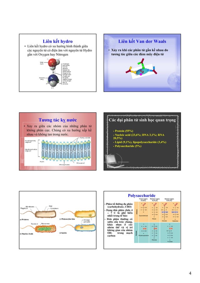 Chuong 2 ca dai phan tu sinh hoc | PDF