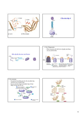 Chuong 2 ca dai phan tu sinh hoc | PDF