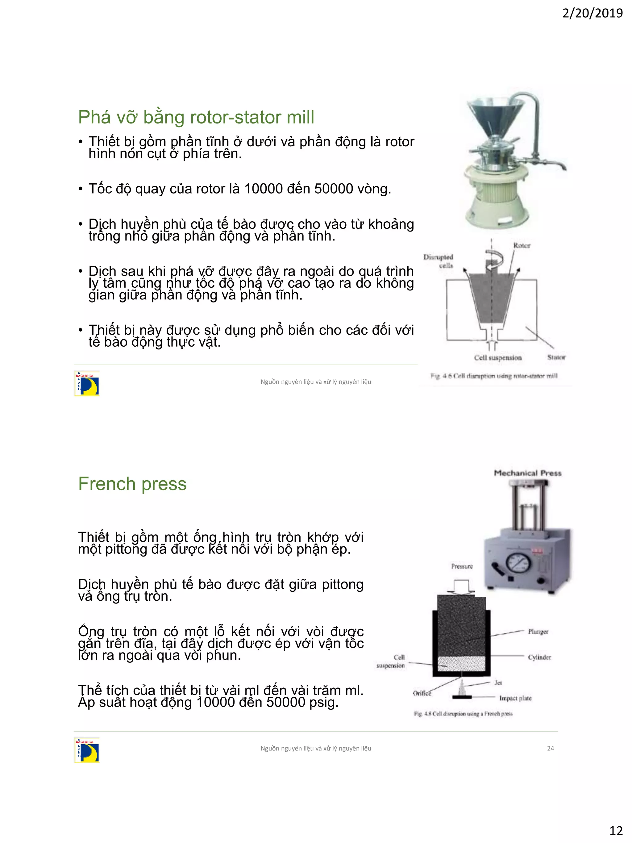 Chuong 2 nguyen lieu va quy trinh san xuat che pham enzyme | PDF