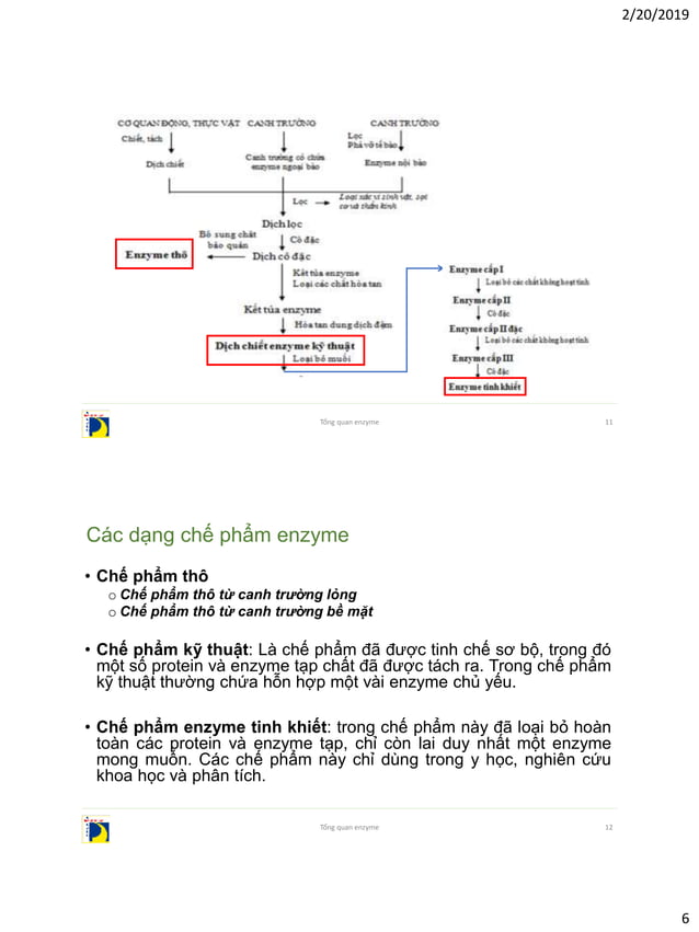 Chuong 2 nguyen lieu va quy trinh san xuat che pham enzyme | PDF