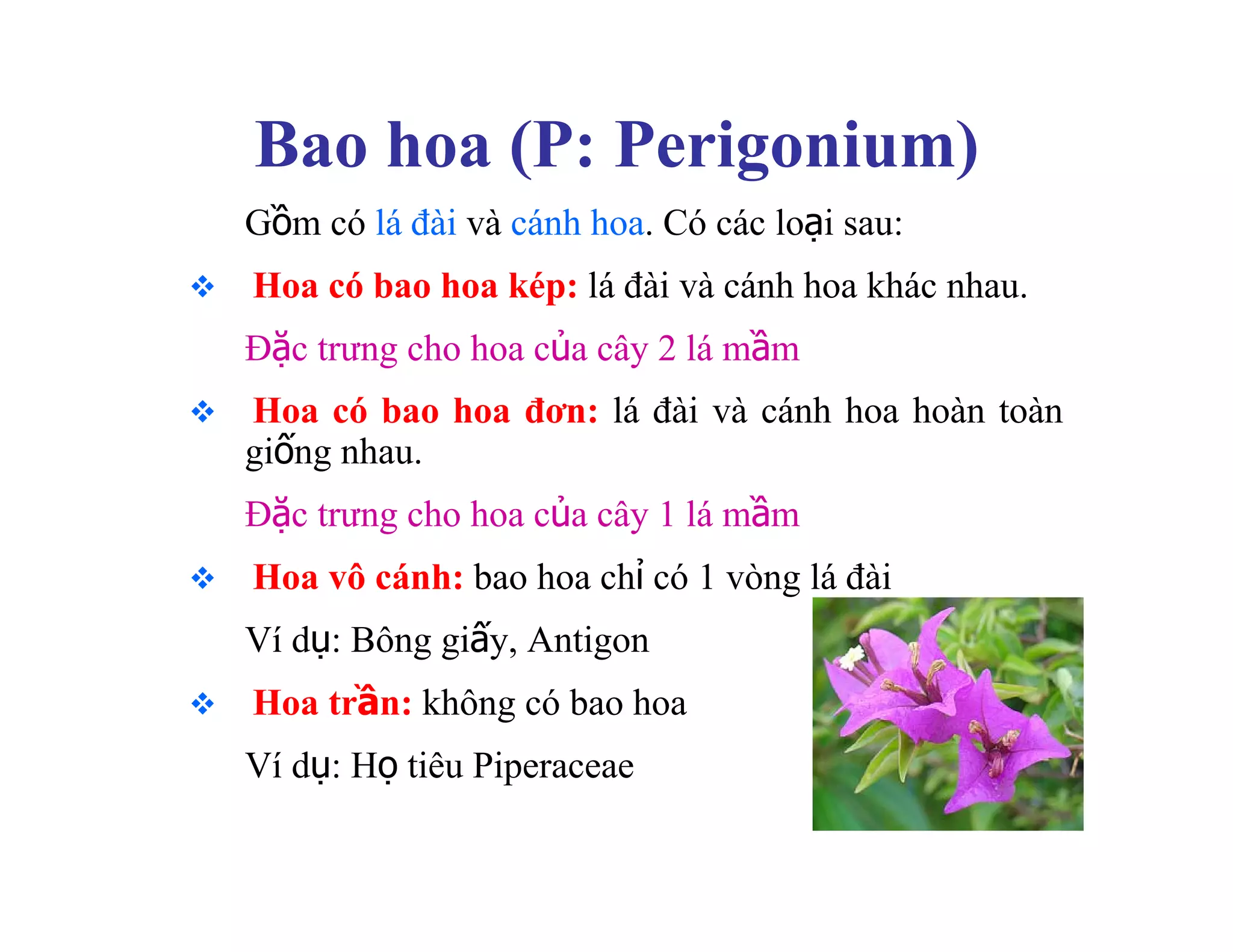 Chuong 4 (hoa) | PDF