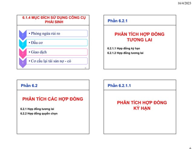 Chuong_6___Cac_cong_cu_phai_sinh.pdf