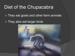 Chupacabra | PPTX