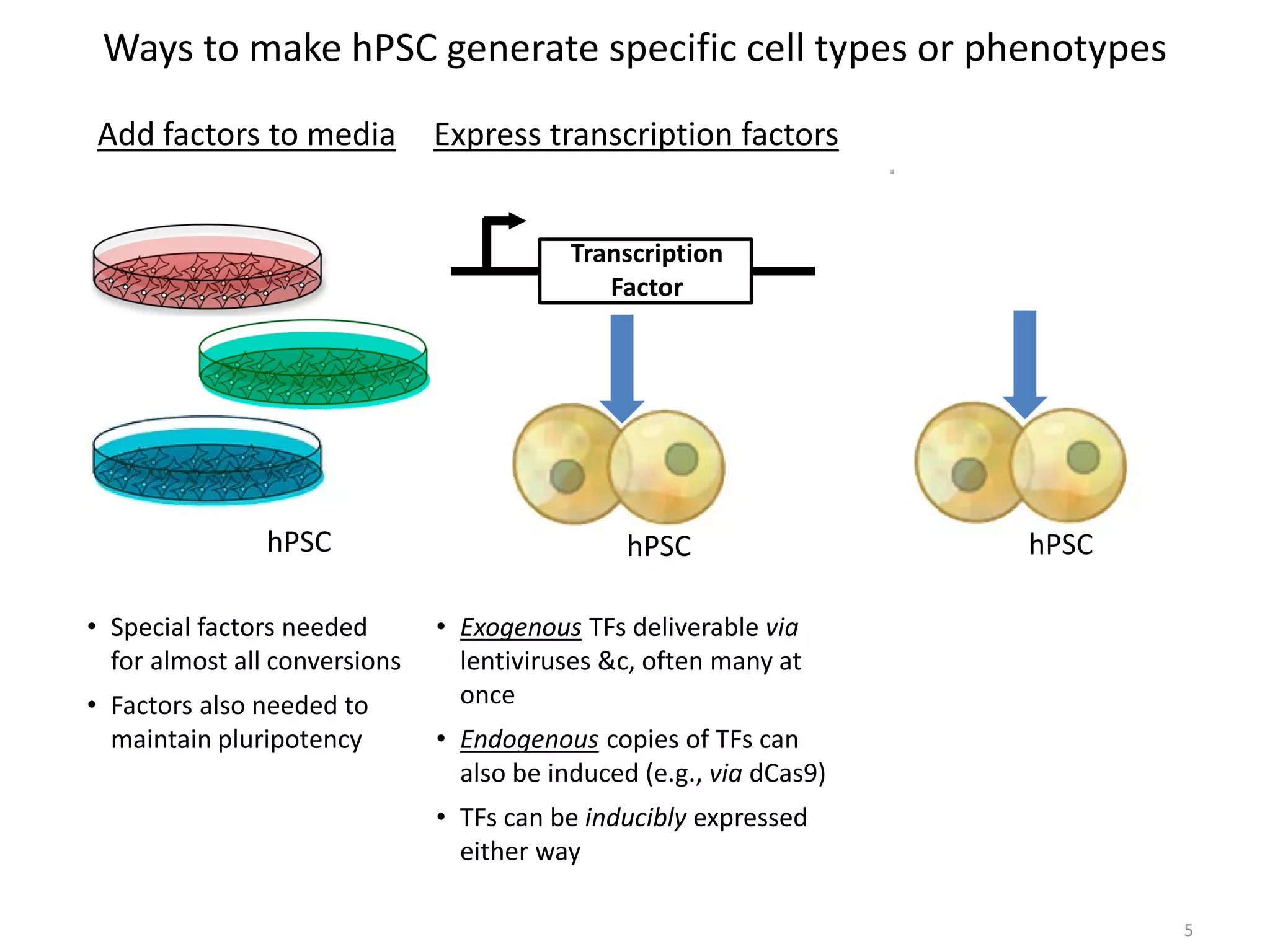 George Church and John Aach, "Stem Cells, Engineered Tissues, and ...