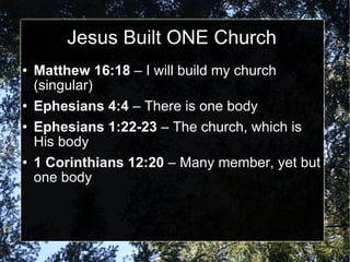 Church a denomination | PPT