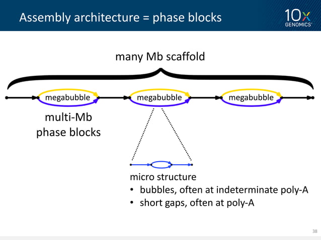 Everyday de novo assembly | PPT