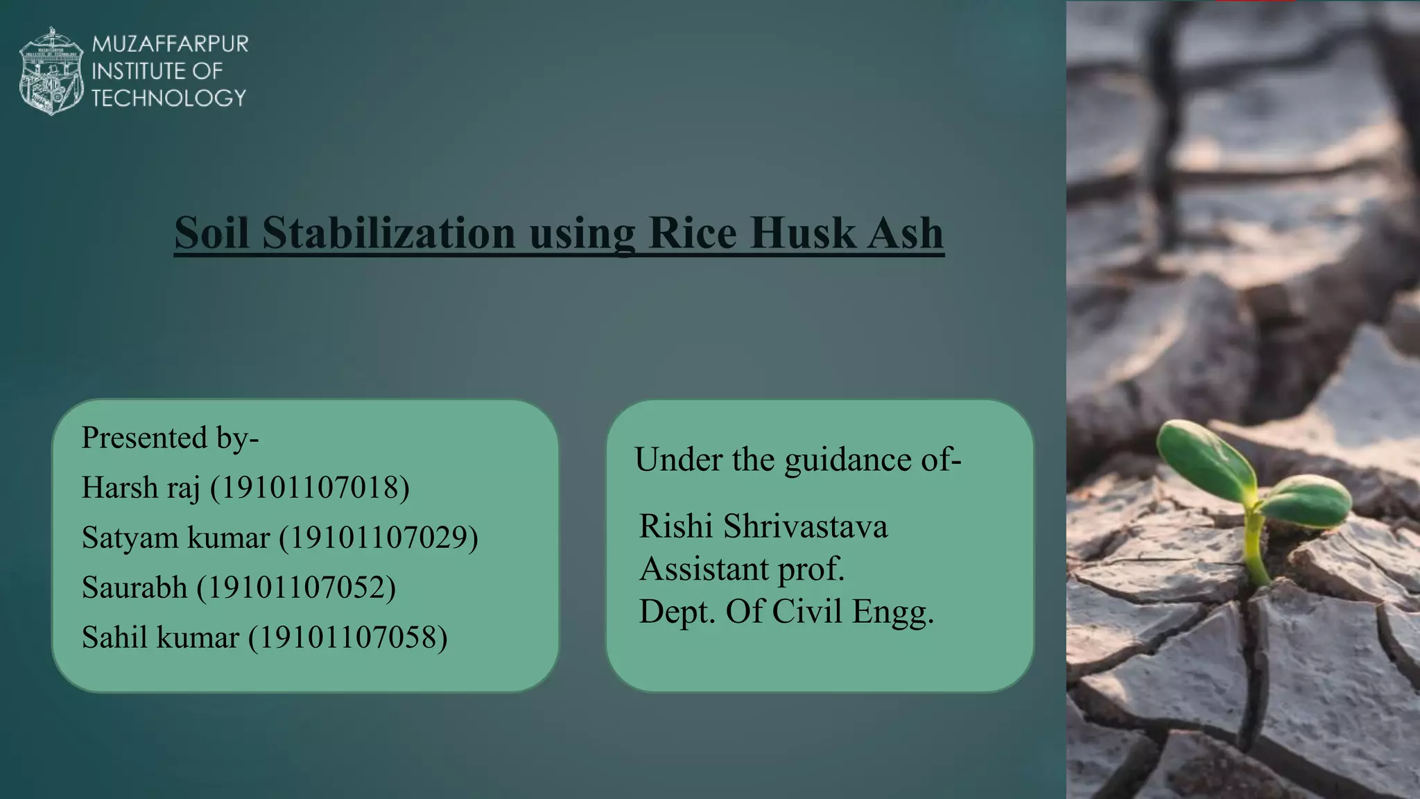 Soil stabilization | PPTX