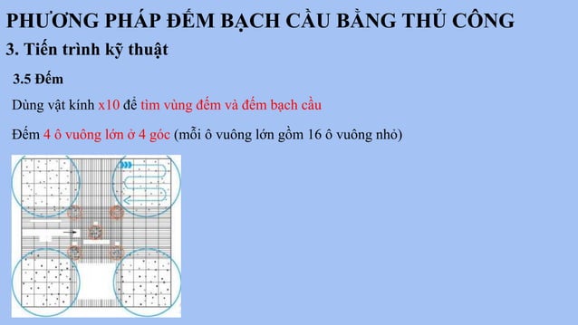 chuyên đề tế bào máu và bệnh bạch cầu 2024 | PPTX