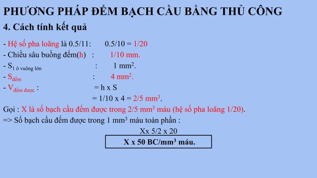 chuyên đề tế bào máu và bệnh bạch cầu 2024 | PPTX