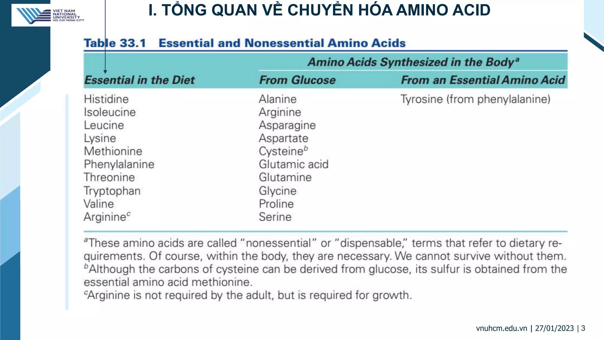 Chuyển hóa Acid amin.pptx