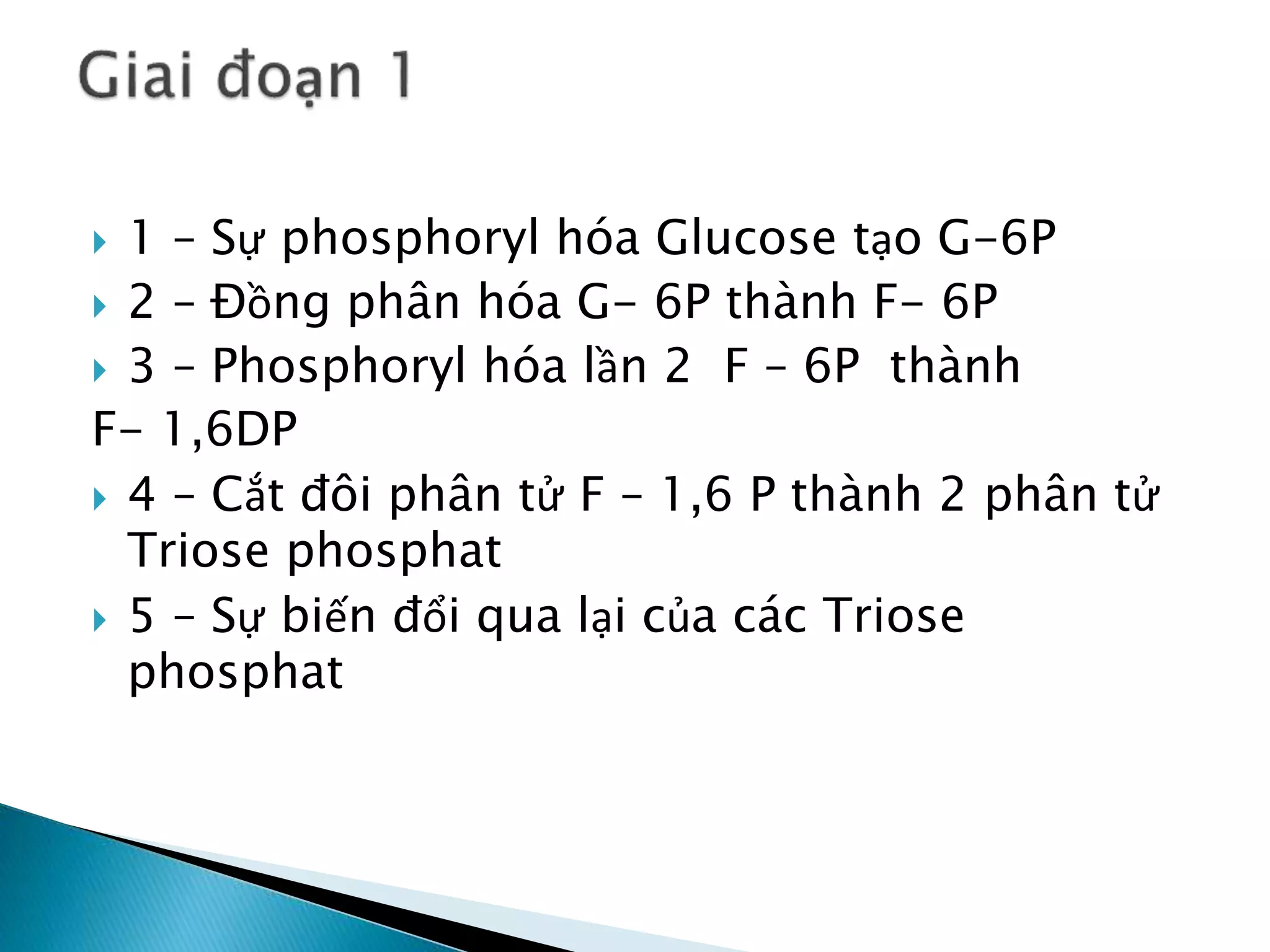 CHUYEN HOA GLUCID ( SỬA).ppt