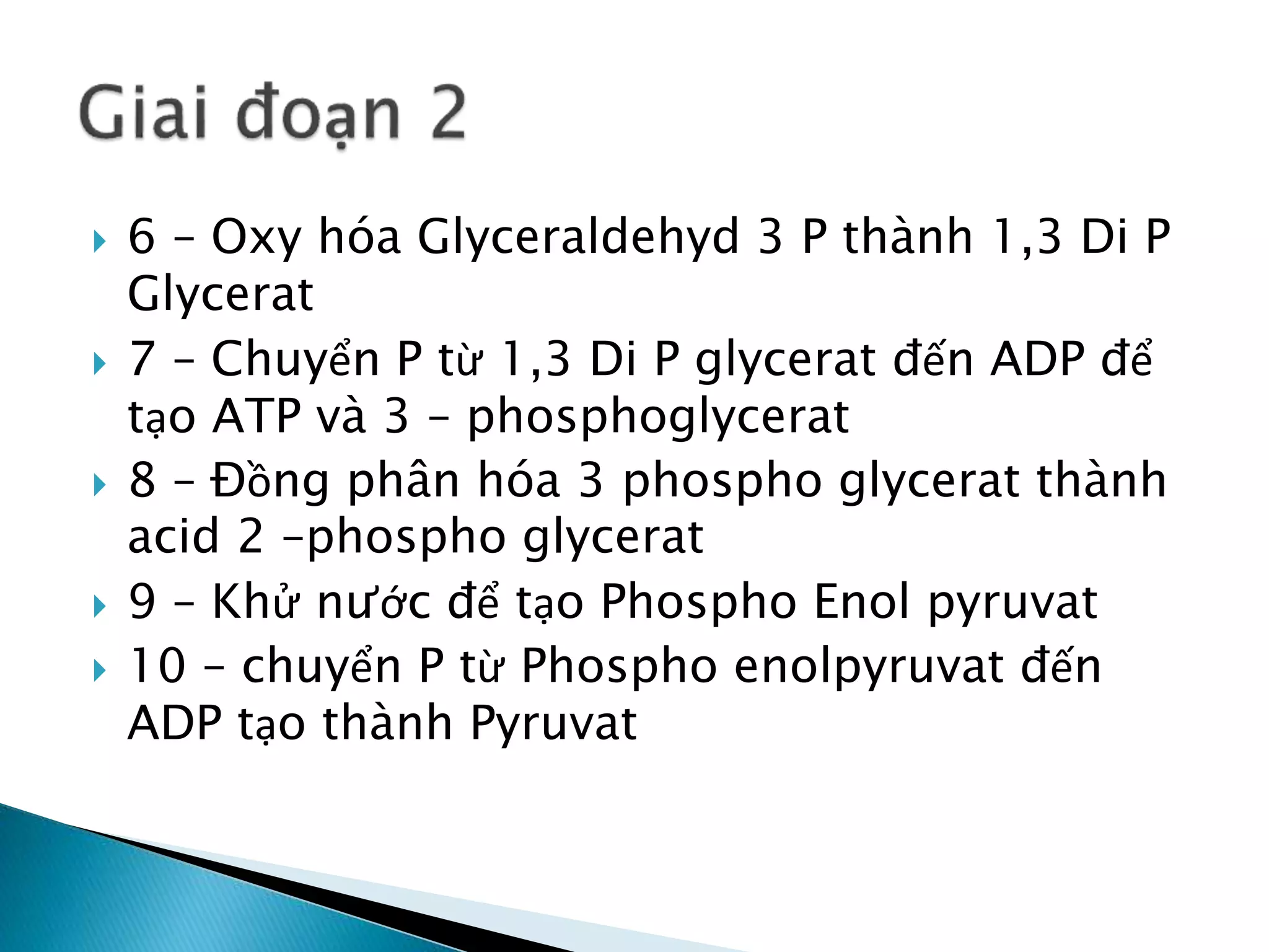 CHUYEN HOA GLUCID ( SỬA).ppt
