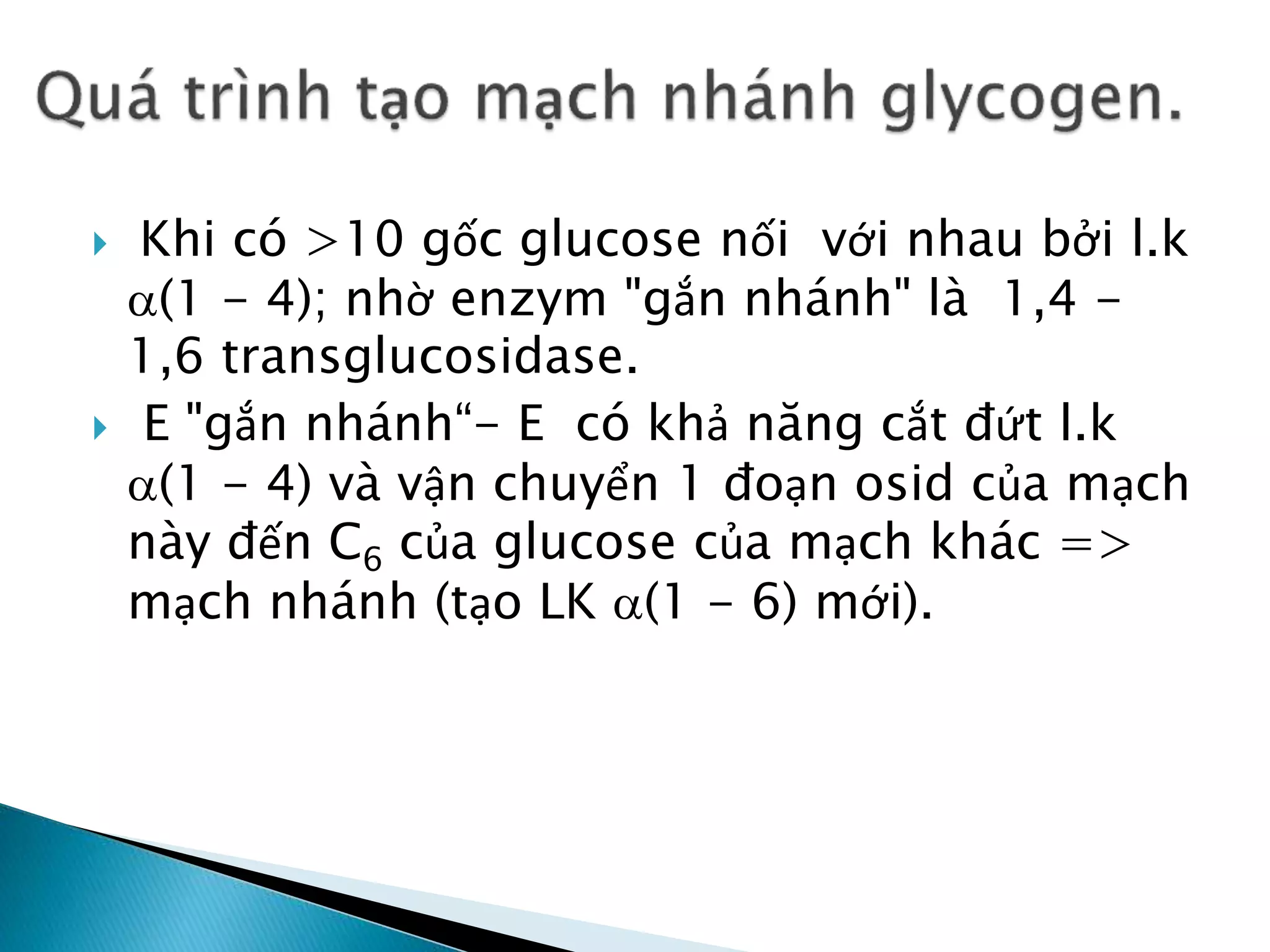 CHUYEN HOA GLUCID ( SỬA).ppt