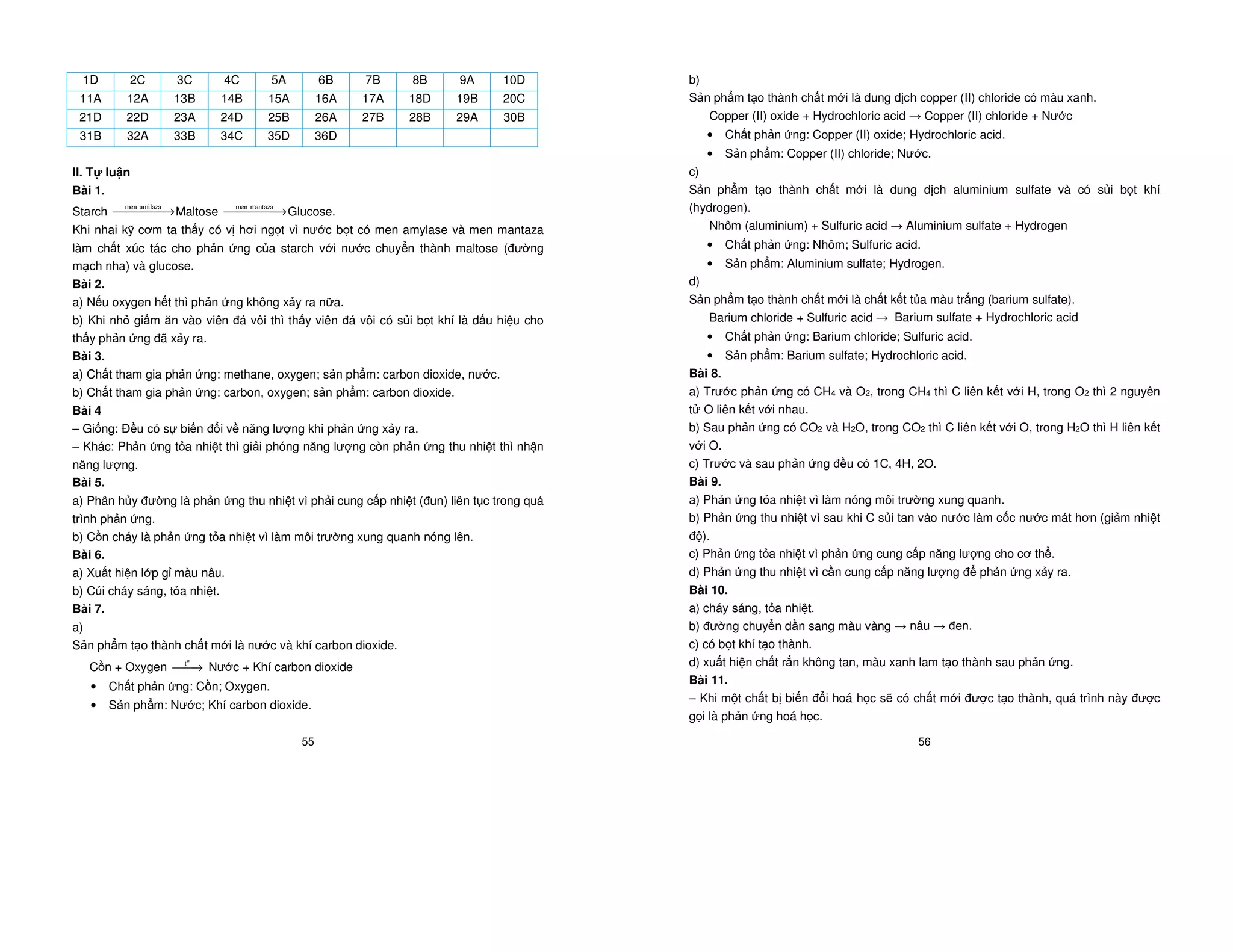 CHUYÊN ĐỀ BÀI TẬP KHOA HỌC TỰ NHIÊN 8 (HÓA, LÝ, SINH) THEO CHƯƠNG TRÌNH GDPT MỚI DÙNG CHUNG CHO ...