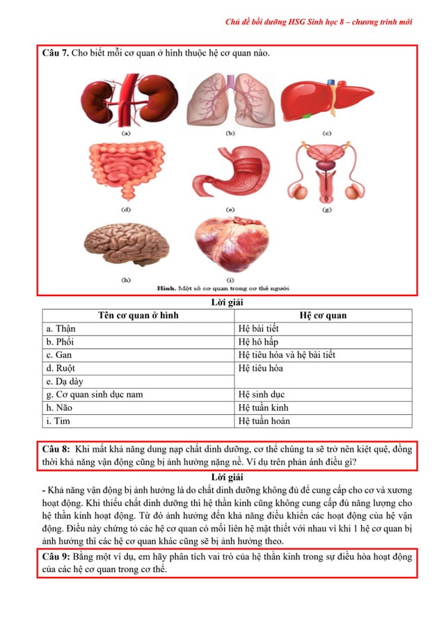 CHUYÊN ĐỀ DẠY HỌC SINH GIỎI KHOA HỌC TỰ NHIÊN - SINH HỌC 8 CHƯƠNG TRÌNH MỚI SINH HỌC CƠ THỂ ...