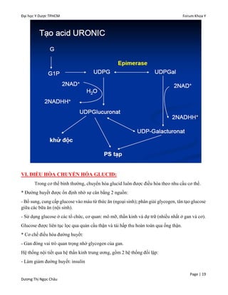 Chuyển hóa glucid | PDF