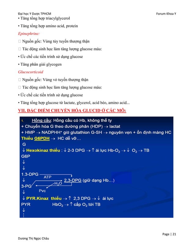 Chuyển hóa glucid | PDF