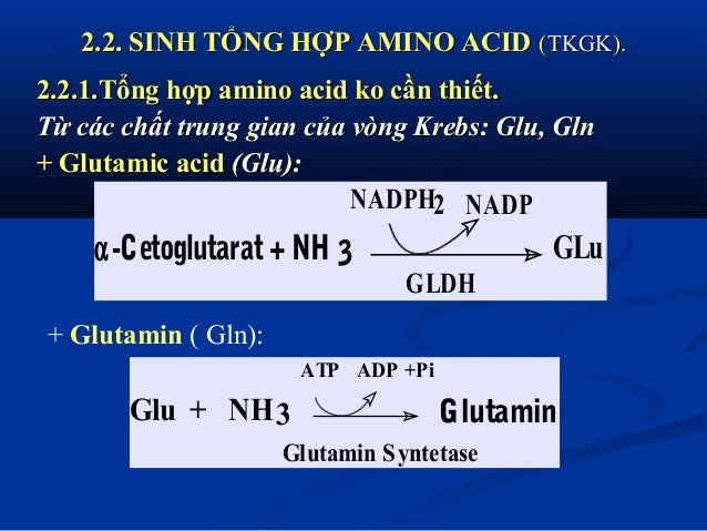 Chuyển hoá protid & acid nucleic