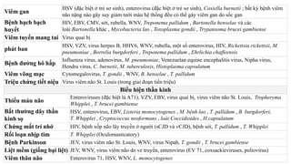 Chuyên đề Viêm não bài giảng sau đại học.pptx