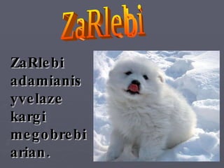 Chveni otxfexa megobrebi | PPT