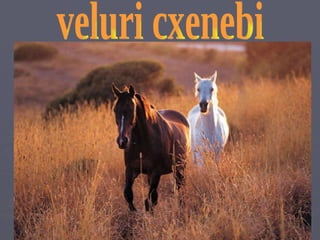 Chveni otxfexa megobrebi | PPT