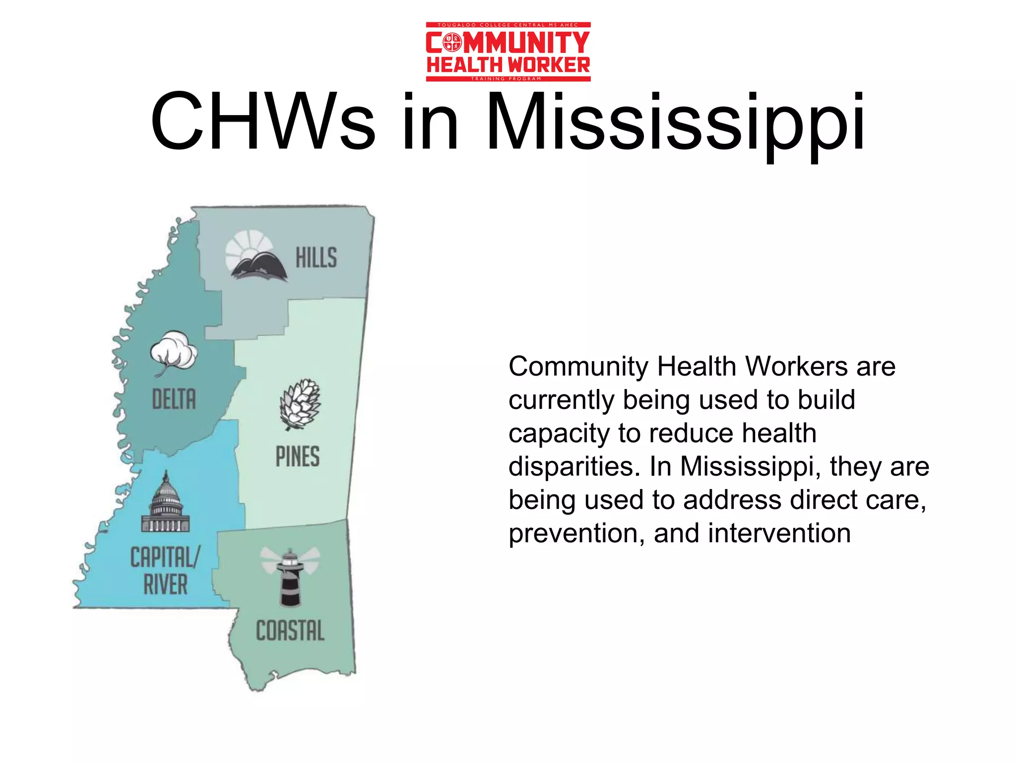 Community Health Workers (CHWs) | PPTX