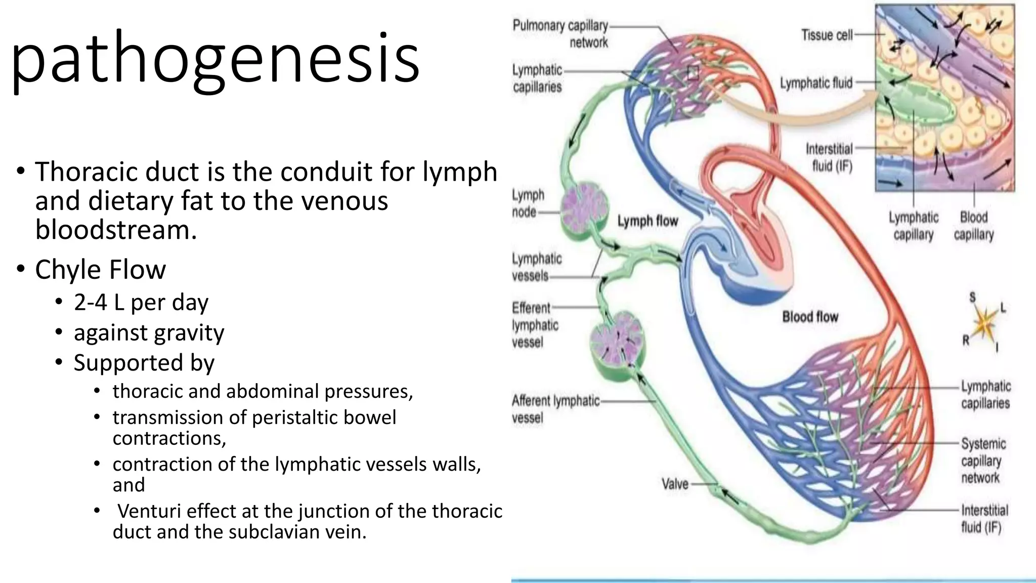 Chyle leakage | PPTX