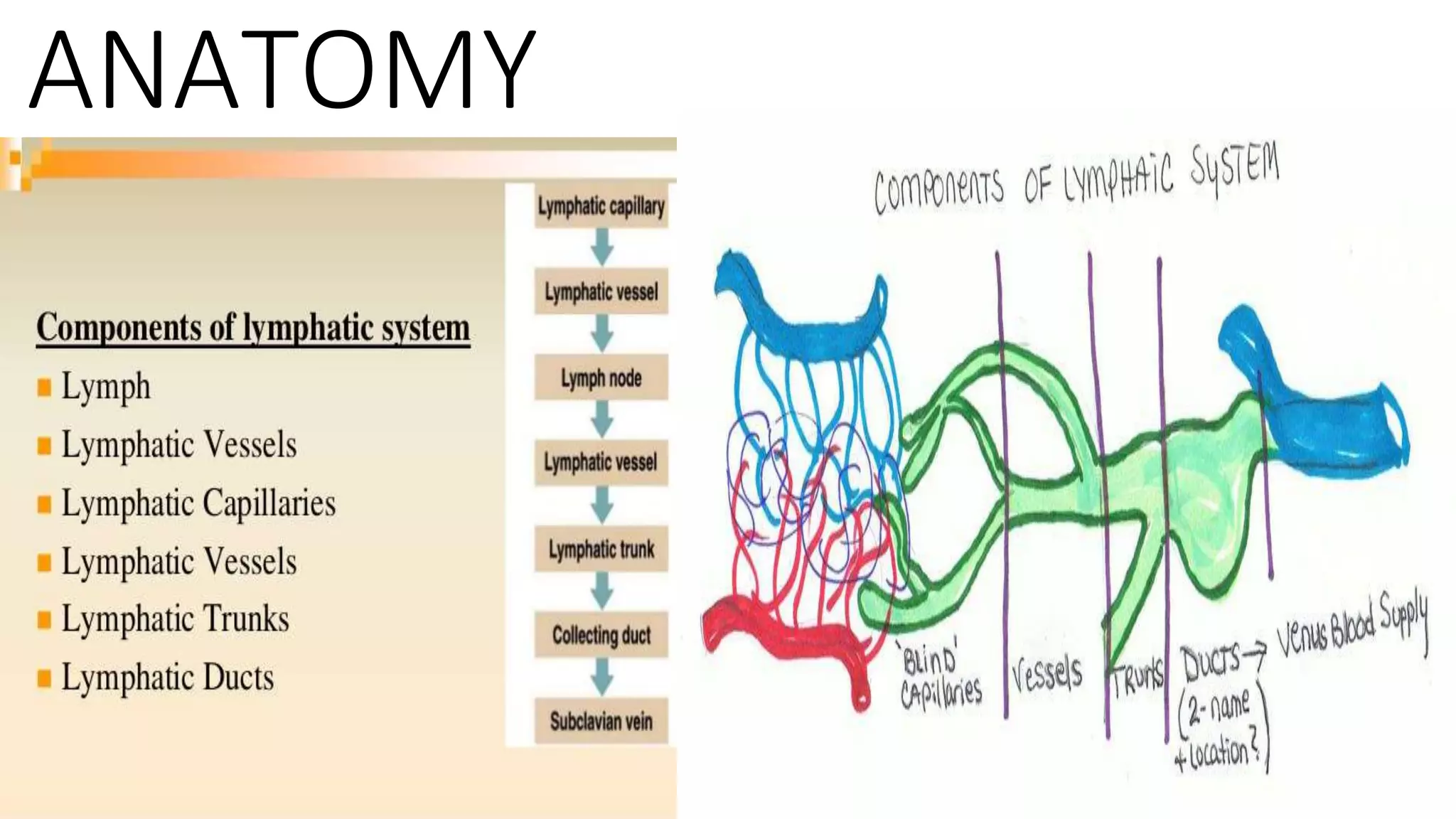 Chyle leakage | PPTX