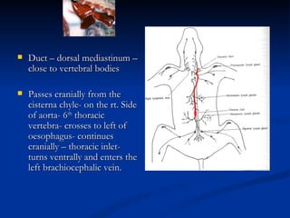 Chylothorax | PPT