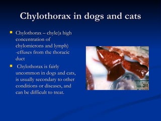 Chylothorax | PPT