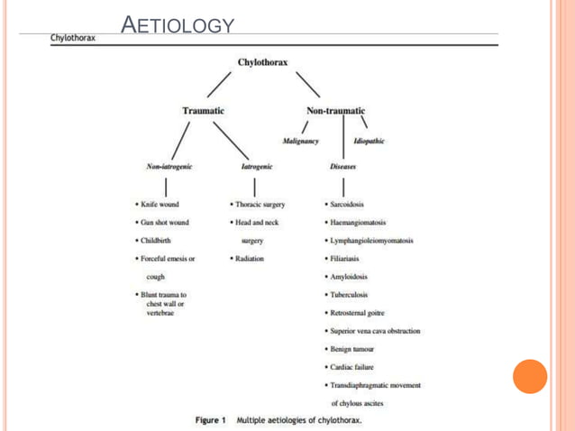 Chylothorax | PPTX | Lung and Respiratory Health | Diseases and Conditions