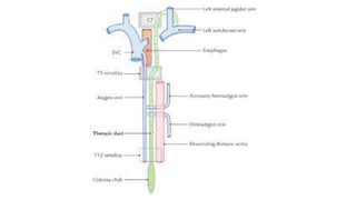Chylothorax | PPT