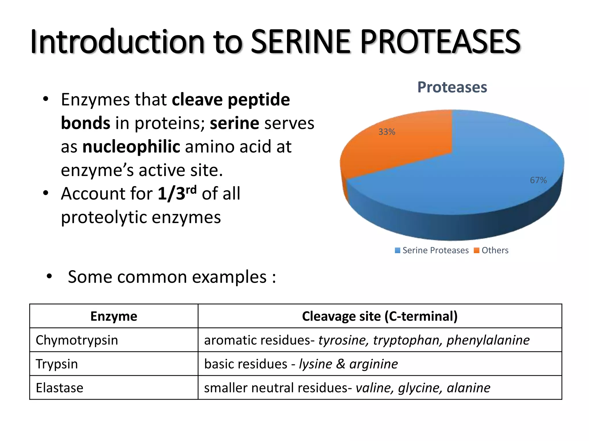 Chymotrypsin Serine Protease Mechanism | PPTX