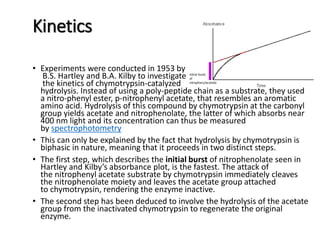 Chymotrypsin Serine Protease Mechanism | PPTX