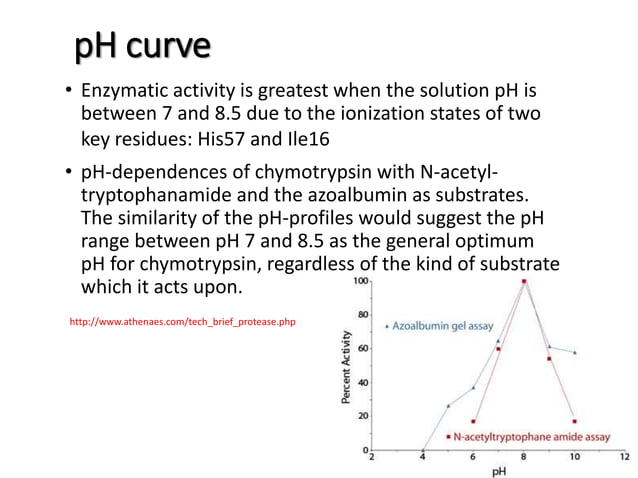 Chymotrypsin Serine Protease Mechanism | PPTX | Digestive Disorders ...