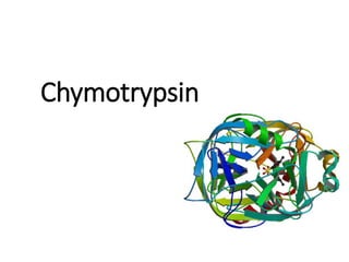Structure Of Chymotrypsin