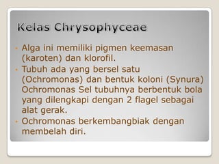 Chyrosophyta | PPT
