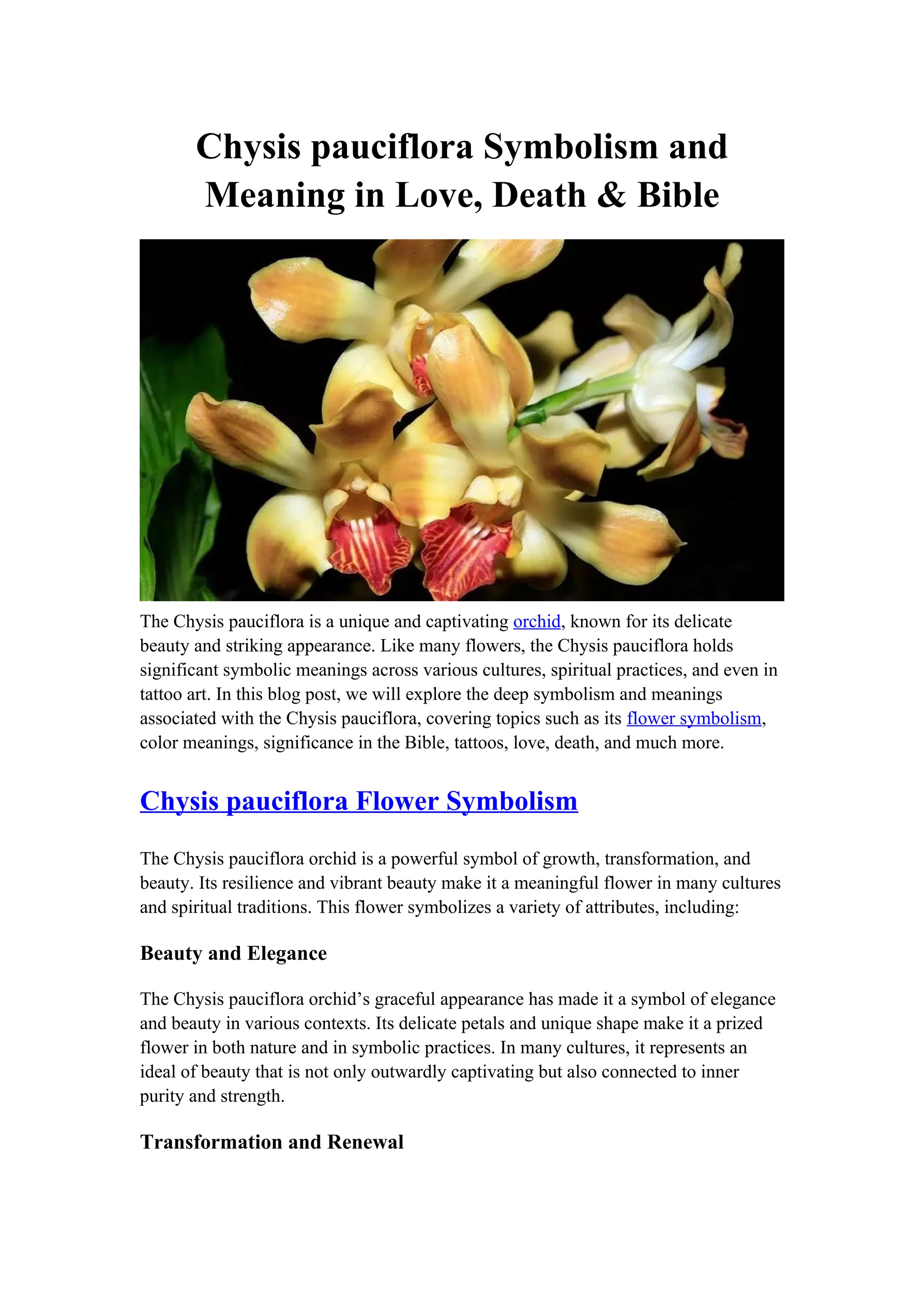 Chysis pauciflora Symbolism and Meaning in Love, Death & Bible.docx