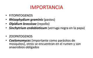 CHYTRIDIOMYCOTA (Generalidades, características).pdf