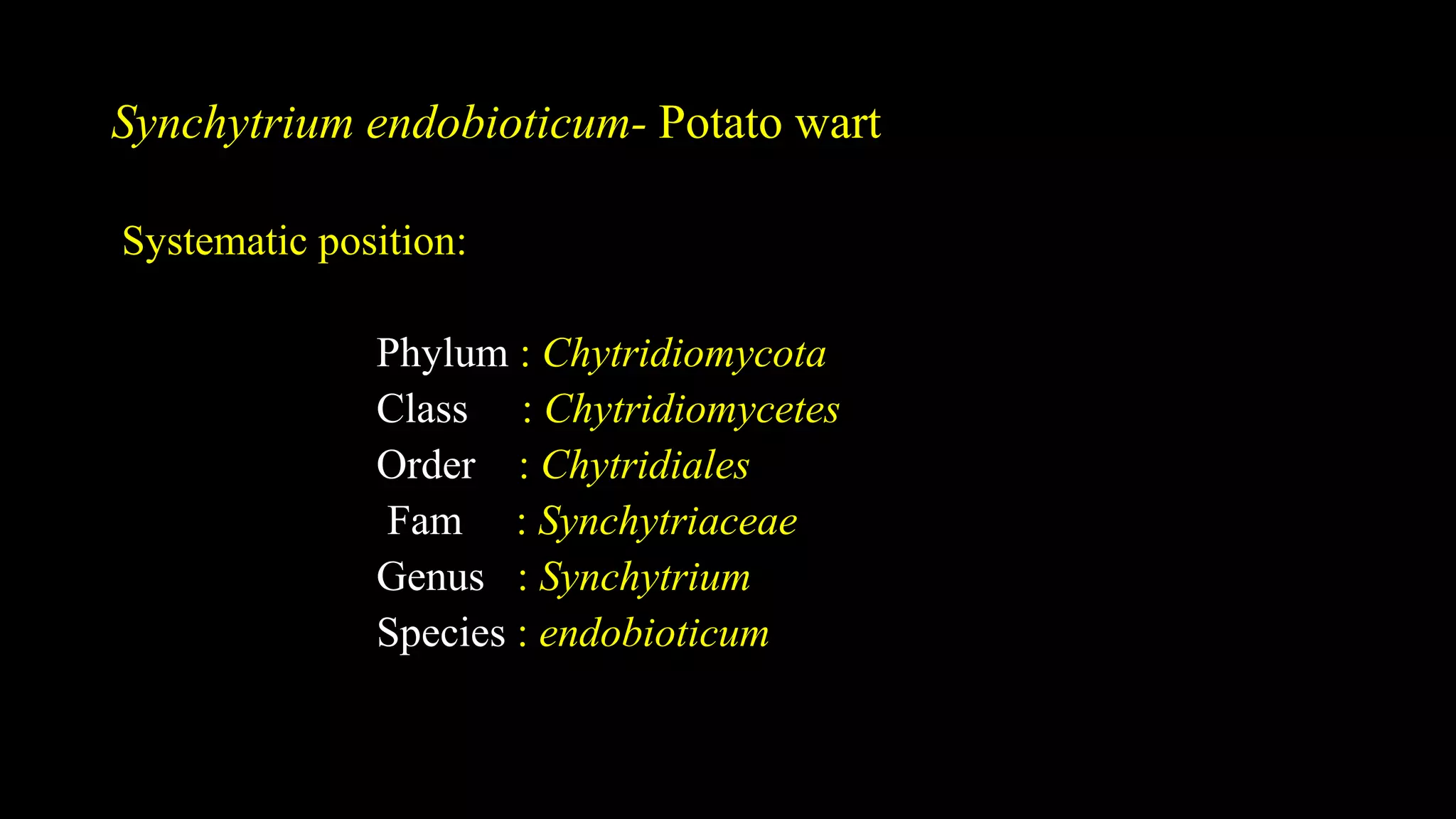 Chytridiomycota characters, taxonomy, life cycle of synchrium and major ...