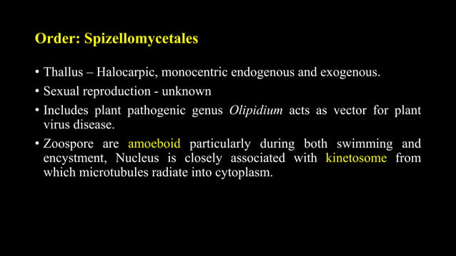 Introduction To The Chytridiomycota