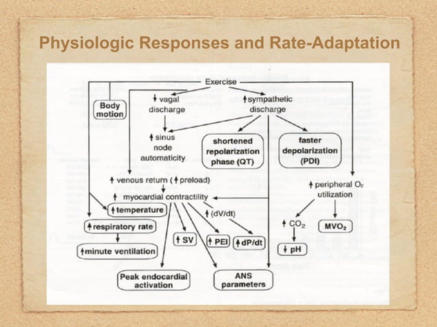 Chronotropic Incompetence | KEY | Heart and Cardiovascular Diseases ...