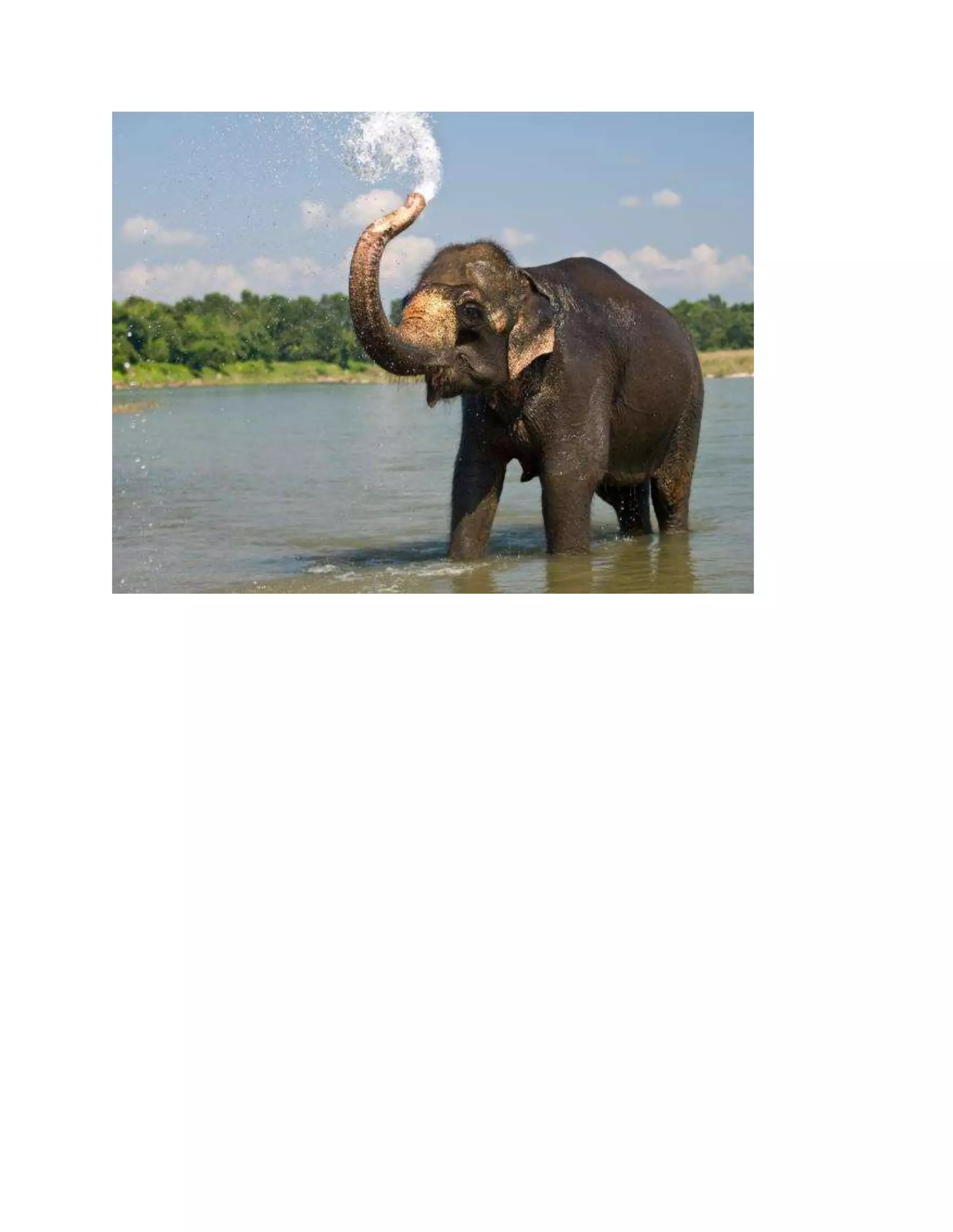 CI 350 Photoshop Before Pictures | PDF