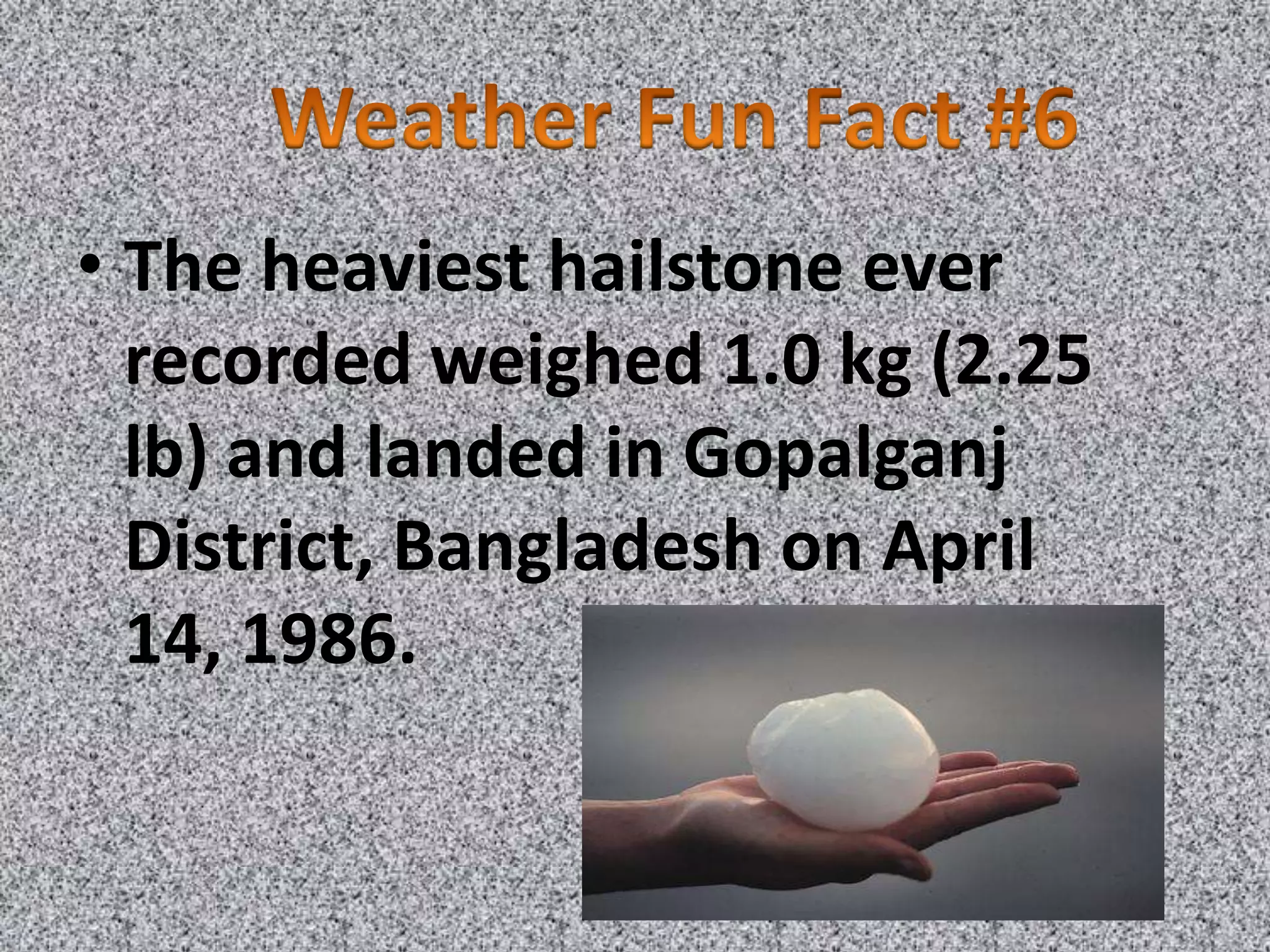 Ci 350 presentation #2 | PPT